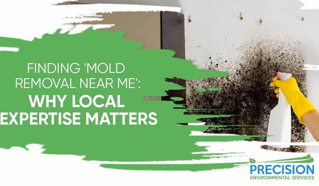 How to Deal with Asbestos, Mold, and More | Precision Environmental ...